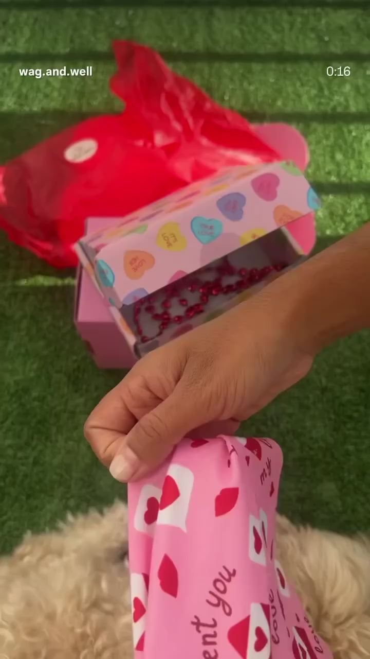 The Pawlentine’s Box💘 – Wag&Well